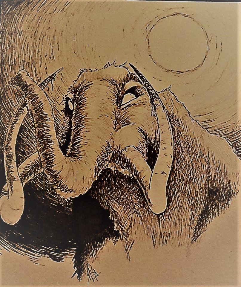 The second of three articles on the awesome Mammothfest in Brighton ...